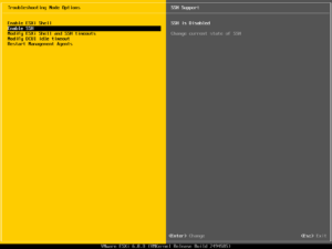 How to enable SSH access to your ESXi server – Tyler Made